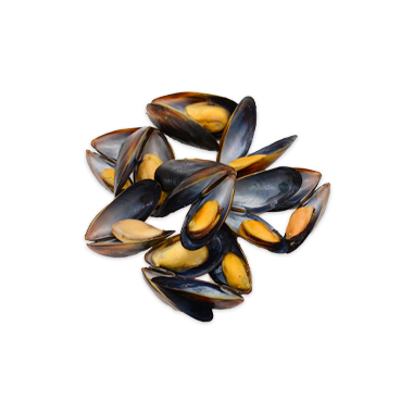 Mussels Whole Shell 1kg – Pescado Store